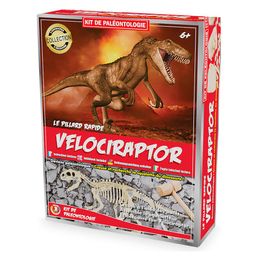 Ulysse Ausgrabungsset "Velociraptor" - ab 6 Jahren - 20% | Experimentieren-spielzeug