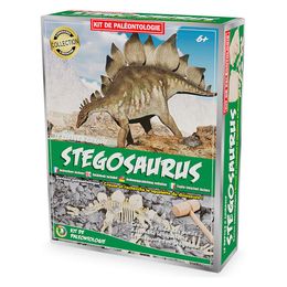 Ulysse Ausgrabungsset "Stegosaurus" - ab 6 Jahren - 25% | Experimentieren-spielzeug