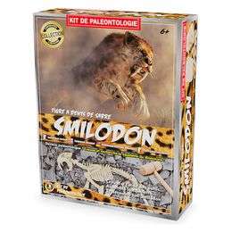 Ulysse Ausgrabungsset "Smilodon" - ab 6 Jahren - 16% | Experimentieren-spielzeug