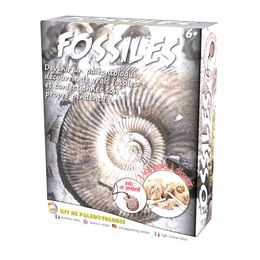 Ulysse Ausgrabungsset "Fossil" - ab 6 Jahren - 16% | Experimentieren-spielzeug