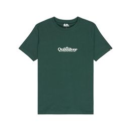 Quiksilver Jungen T-Shirt &raquo;Ev Fineline&laquo; gr&uuml;n 12(148-156cm)