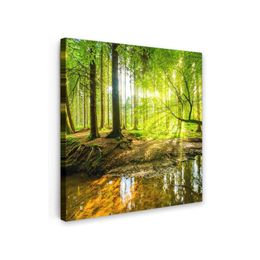 MuchoWow Leinwand bilder Waldlicht (BxH) | Gr.: 20 x 20 cm