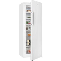 Exquisit Gefrierschrank "GS280-HE-040D", Energieeffizienz: D (A-G), silber (wei&szlig;), B:60cm H:171cm T:59cm, Gefrierschr&auml;nke, 4*-Gefrierschrank No Frost mit LED-Anzeige & praktischem Griff