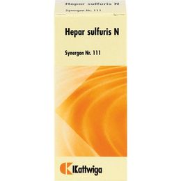 Kattwiga Synergon Komplex 111 Hepar sulfuris N Tabletten 100 St