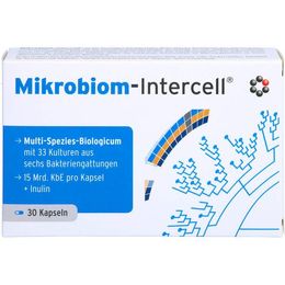 INTERCELL-Pharma GmbH MIKROBIOM-Intercell Hartkapseln 30 St