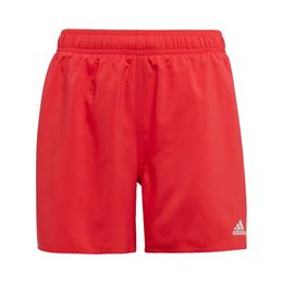 adidas Sportswear Sportbadeshorts 'Water-Reactive Swim Shorts' Jungen Gr&ouml;&szlig;e 140 hellgrau / rot