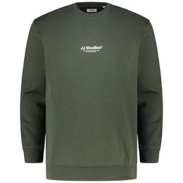 Jack & Jones Gro&szlig;e Gr&ouml;&szlig;en Jack&Jones Pullover aus Baumwolle Farbe gr&uuml;n Gr&ouml;&szlig;e: 8XL