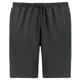 Gro&szlig;e Gr&ouml;&szlig;en AUTHENTIC klein Joggingshorts mit Stretch Farbe grau Gr&ouml;&szlig;e: 60