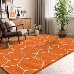 Teppich Sanat, B:80cm H:10mm L:150cmorange, Kunstfaser, Wohnzimmer, Teppiche, "Trellis, auch als L&auml;ufer und Rund", Kurzflor, skandi, boho, gro&szlig;e