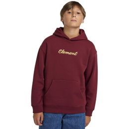 Element Jungen Hoodie "Rollin", lila, Gr. 12, Obermaterial: 40% Polyester, 30% Baumwolle, 30% Baumwolle;, Sweatshirts