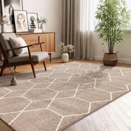 Teppich Sanat, B:160cm H:10mm L:230cmbeige, Kunstfaser, Wohnzimmer, Teppiche, "Trellis, auch als L&auml;ufer und Rund", Kurzflor, skandi, boho, gro&szlig;e