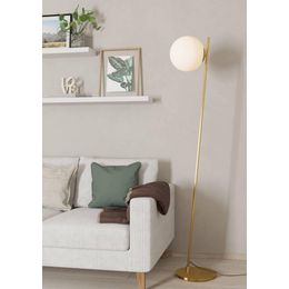 Eglo Stehlampe "RONDO 4 Stehlampe, Stahl und Glas, E27, IP20, Wohnzimmerlampe, Lampe", 1, &Oslash; 0cm H: 174,5cm, 1 Stk., gold, Wohnzimmer, Leuchten,