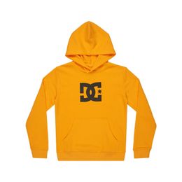 DC Shoes Jungen Kapuzensweatshirt "DC Star", gelb, Gr. 12, Obermaterial: 55% gek&auml;mmte Baumwolle, 25% Baumwolle, 20% Polyester;, Sweatshirts