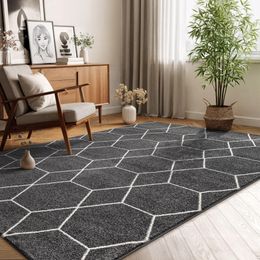 Teppich Sanat, B:240cm H:10mm L:340cmdunkelgrau, Kunstfaser, Wohnzimmer, Teppiche, "Trellis, auch als L&auml;ufer und Rund", Kurzflor, skandi, boho, gro&szlig;e