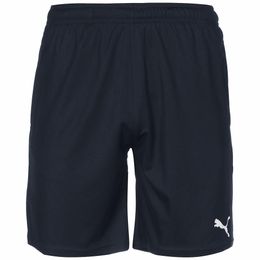 Puma Sportshorts 'Team Rise' Herren Gr&ouml;&szlig;e XXXL navy / hellgrau