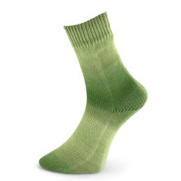 Sockenwolle Year Socks Color von Woolly Hugs, MAI, aus Schurwolle