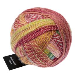 Sockenwolle Zauberball Crazy von Schoppel Wolle, Early Autumn Inspiration Kieran Foley, aus Schurwolle