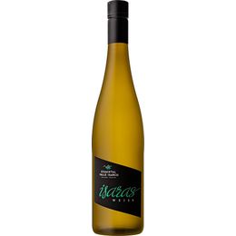 Kellerei Eisacktal Isaras Weiss Vigneti delle Dolomiti 2025 Trocken - S&uuml;dtirol &ndash; Wei&szlig;wein IGP