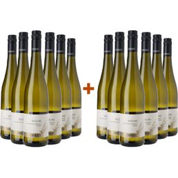 Weingut Ehrhart 6+6 vom Buntsandstein-Paket Riesling 2024 Trocken - Pfalz &ndash; Probierpaket Qualit&auml;tswein