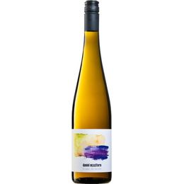 Weingut Daniel Mattern s Sp&auml;tburgunder 2025 Trocken - Rheinhessen &ndash; Blanc de Noir Qualit&auml;tswein