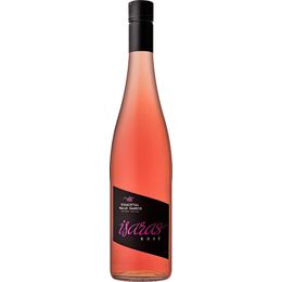 Kellerei Eisacktal Isaras Rose Vigneti delle Dolomiti Pinot Noir 2025 Trocken - S&uuml;dtirol &ndash; Ros&eacute; IGP