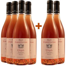 San Ferdinando 4+2 Paket Ros&egrave; Toscana Ciliegiolo 2024 Trocken - Toskana &ndash; Probierpaket IGP