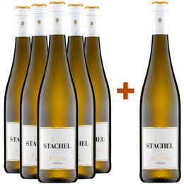 Weingut Erich Stachel 5+1 Paket Auxerrois 2024 Trocken - Pfalz &ndash; Probierpaket Qualit&auml;tswein
