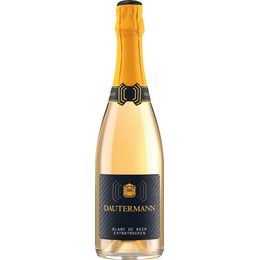 Weingut Dautermann Blanc de Noir Sp&auml;tburgunder 2022 - Rheinhessen &ndash; Perl- & Schaumwein Deutscher Sekt