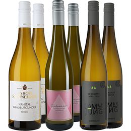 Wirwinzer Select Wei&szlig;wein Premium-Paket Trocken - Verschiedene Regionen &ndash; Probierpaket Qualit&auml;tswein