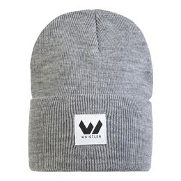WHISTLER Beanie 'Linjoe' male Grey size M/L