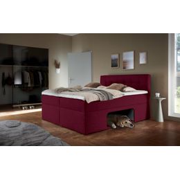 Boxbett Home Affaire "Carolin", rot (bordeaux meliert), B:162cm L:210cm, Komplettbetten, mit Nische inkl. gepolsterter Unterlage f&uuml;r Haustiere