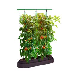 Dobar-Tomaten- und Paprikabeet &raquo;Sicilia&laquo; - schwarz