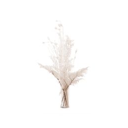 Tchibo - Trockenblumen &raquo;White Sensation&laquo; - wei&szlig;