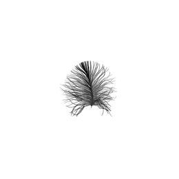 Tchibo - Wandbild &raquo;Feather&laquo; - schwarz