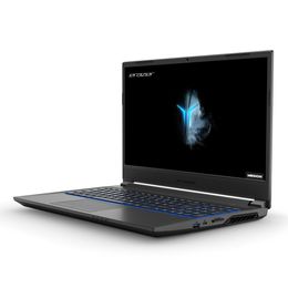 Medion-ERAZER -&raquo;P15601&laquo;-Gaming-Notebook - schwarz