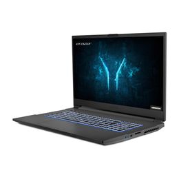 Medion Erazer &raquo;Defender P10&laquo; Gaming-Notebook - schwarz