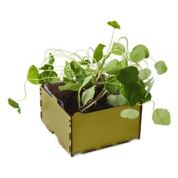 Tchibo - Anzuchtbox - gr&uuml;n