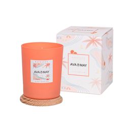 Tchibo - Duftkerze &raquo;Barbados&laquo; - apricot