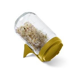 Tchibo - Microgreens im Glas - olivgr&uuml;n