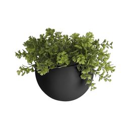 Tchibo - Blumentopf &raquo;Globe&laquo; - schwarz
