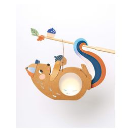 folia PAPER Laternen-Bastelset "Squirrel" in Orange - ab 5 Jahren - 63% | Kinder-kreativspielzeug