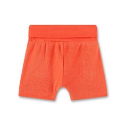 Sanetta Kidswear Shorts in Orange - 60% | Gr&ouml;&szlig;e 92 | Babyhosen
