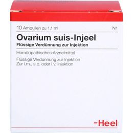 Heel Ovarium Suis Injeel Ampullen 10 St