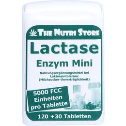 Hirundo Lactase 5.000 Fcc Enzym Mini Tabl.im Dosierspender 120 St