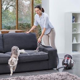 Dyson Bodenstaubsauger "Big Ball Parquet 2", B:30,6cm H:96,5cm T:73,8cmviolett, Bodenstaubsauger, mit hygienischer Beh&auml;lterentleerung, der sich