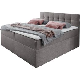 Boxbett Home Affaire, B:142cm L:210cm, grau, Komplettbetten