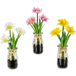 Kunstblume I.GE.A., B:9cm H:21cm L:9cm, wei&szlig;, Polyester, Kunstpflanzen, "Margeriten", K&uuml;nstliche Mini-Margeriten im Glas Arrangement G&auml;nsebl&uuml;mchen