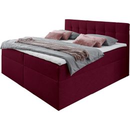Boxbett Home Affaire, B:182cm L:210cm, rot, Komplettbetten