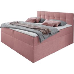 Boxbett Home Affaire, B:182cm L:210cm, rosa, Komplettbetten