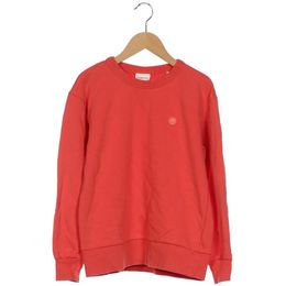 KnowledgeCotton Apparel Sweater Damen Gr&ouml;&szlig;e S Second Hand rot